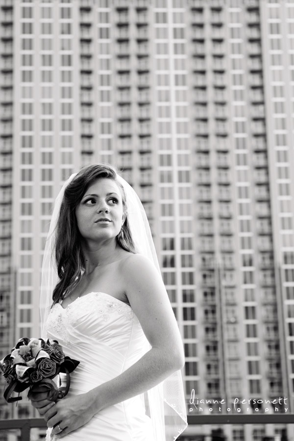 Laura {captivating} » Dianne Personett Photography